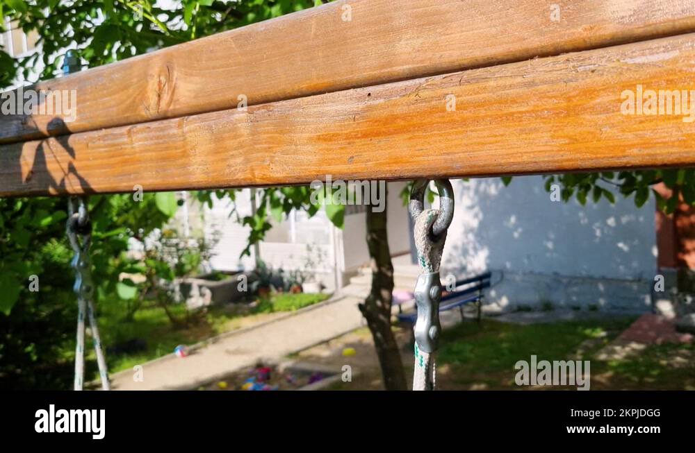 Ring timber Stock Videos & Footage - HD and 4K Video Clips - Alamy