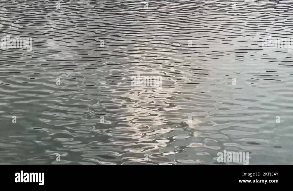 Wave ripples beach Stock Videos & Footage - HD and 4K Video Clips - Alamy