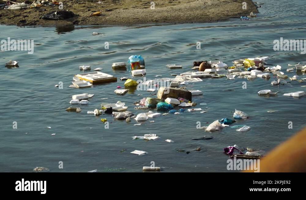 Garbage floating in water and flying with wind. Close up, static, high ...