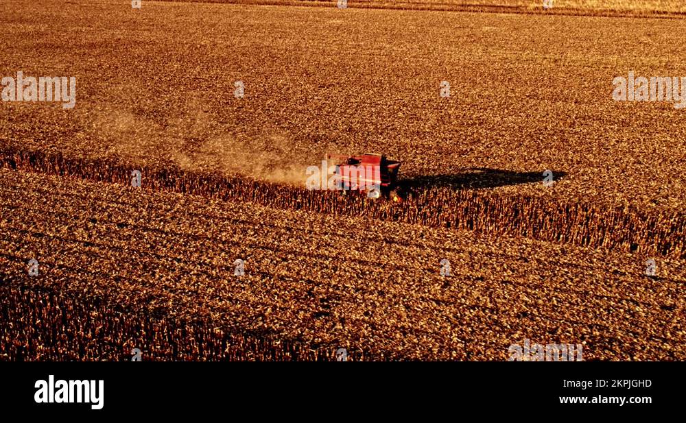 Combine harvester harvesting ripe industrial corn field Stock Video ...