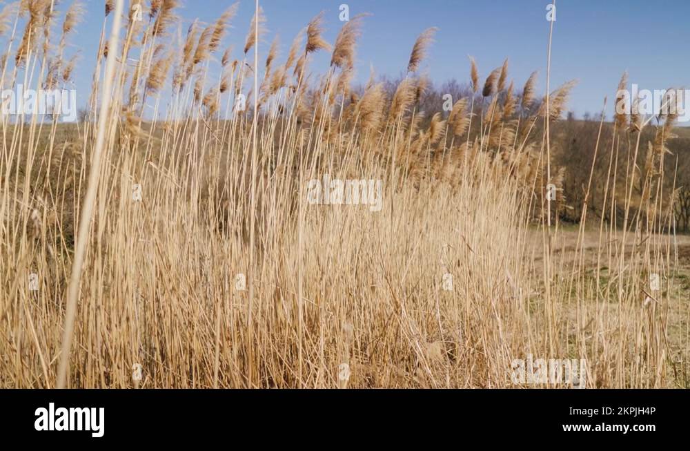 Blowing up wind Stock Videos & Footage - HD and 4K Video Clips - Alamy