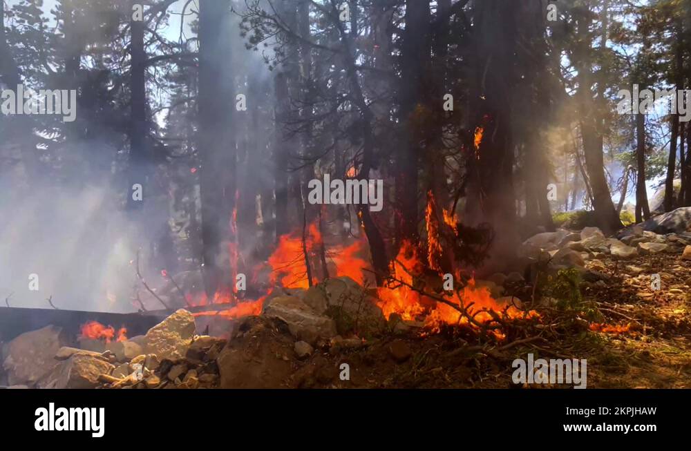 Forest fires in the usa Stock Videos & Footage - HD and 4K Video Clips ...