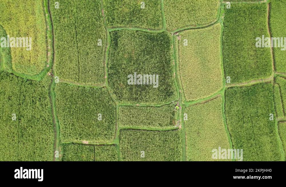 Irregular patches Stock Videos & Footage - HD and 4K Video Clips - Alamy