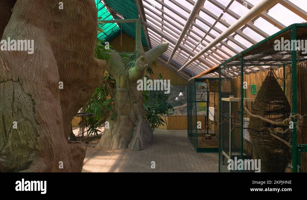 Zoo design Stock Videos & Footage - HD and 4K Video Clips - Alamy