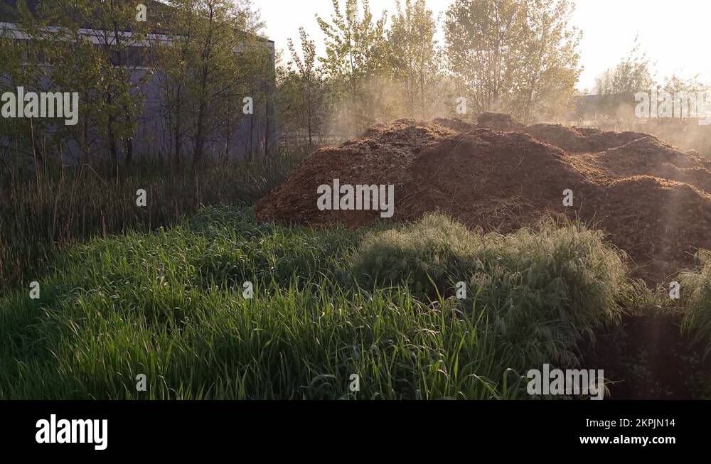 Manure pile Stock Videos & Footage - HD and 4K Video Clips - Alamy