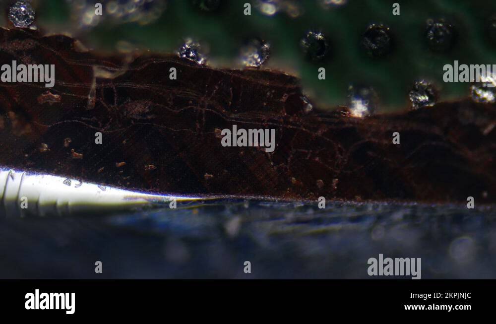 Nanostructures of a modern processor under a microscope. Multiple ...