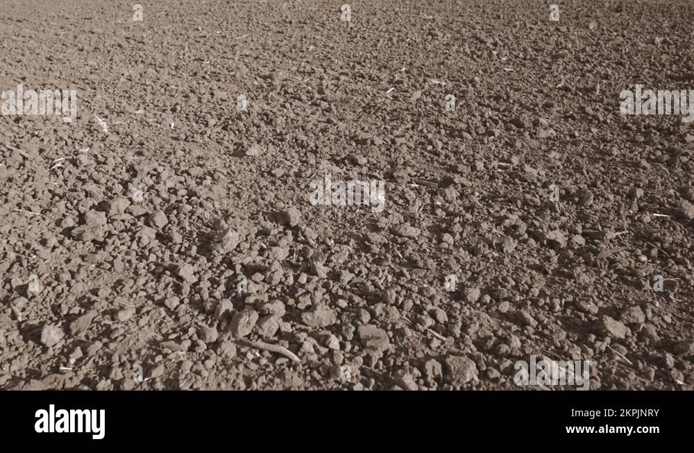 New dug soil Stock Videos & Footage - HD and 4K Video Clips - Alamy