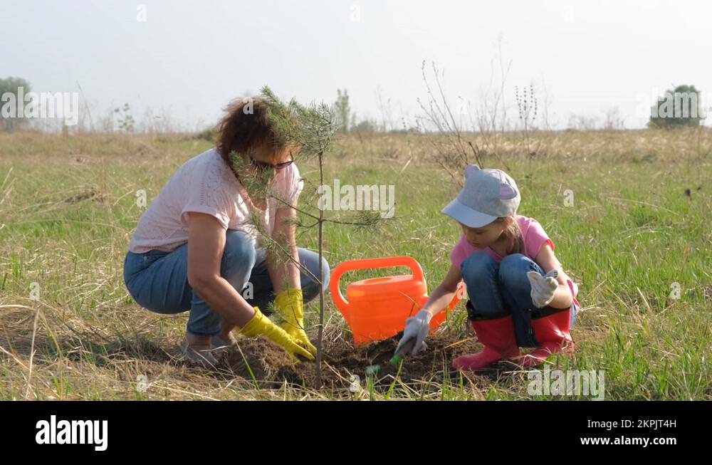 Girl planting a tree Stock Videos & Footage - HD and 4K Video Clips - Alamy