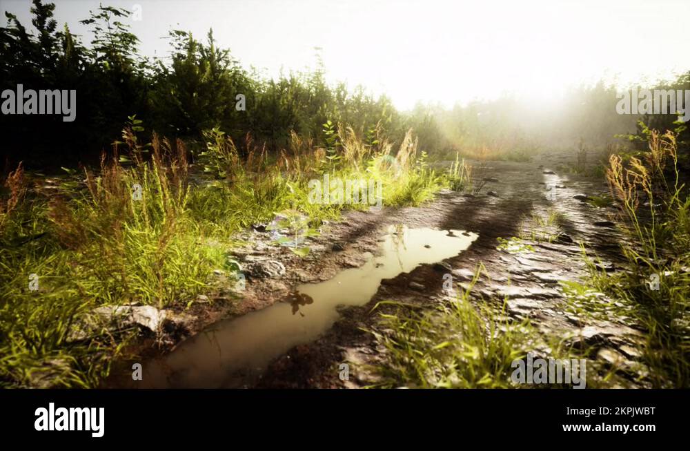 Green grass mud soil Stock Videos & Footage - HD and 4K Video Clips - Alamy