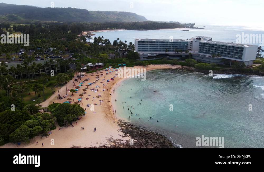 Turtle beaches Stock Videos & Footage - HD and 4K Video Clips - Alamy