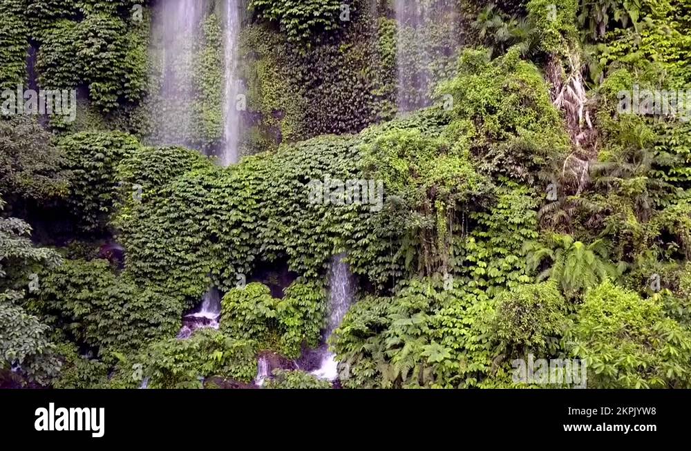 Slow motion waterfall water curtain overgrown green walls. Perfect ...