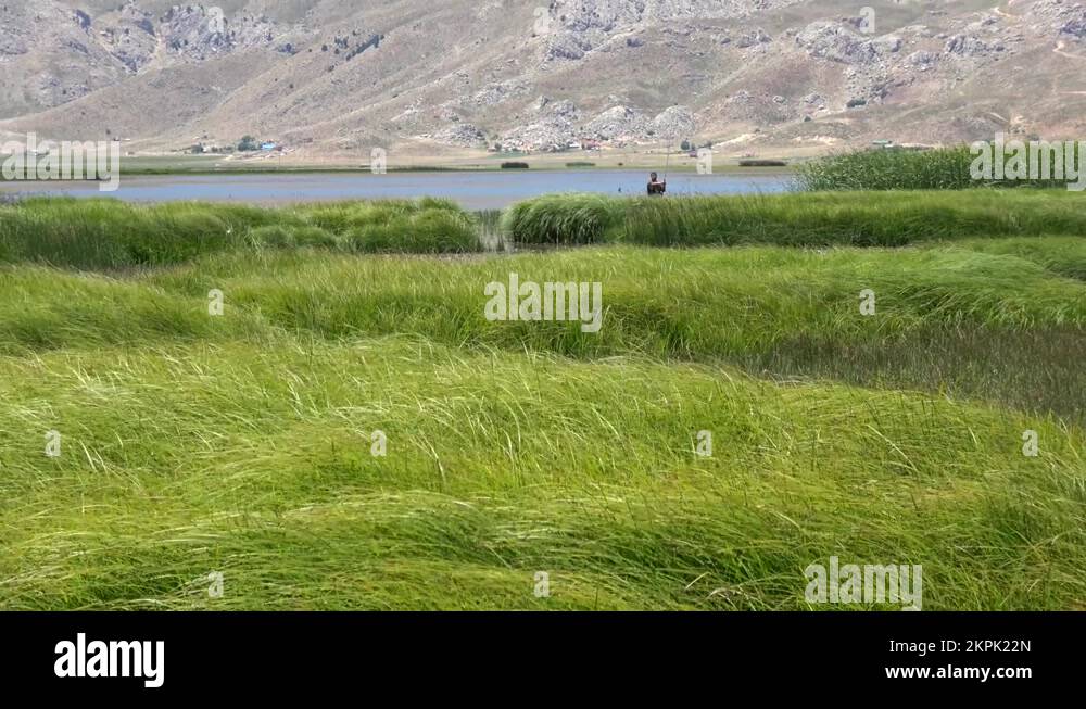 See them out in the lake fishing Stock Videos & Footage - HD and 4K ...