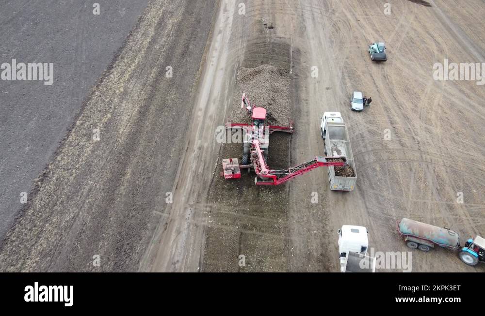 Field of beets Stock Videos & Footage - HD and 4K Video Clips - Alamy
