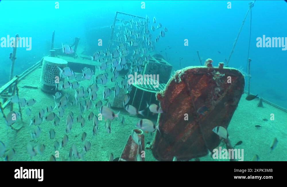 Ship wreck scenery underwater fish Stock Videos & Footage - HD and 4K ...