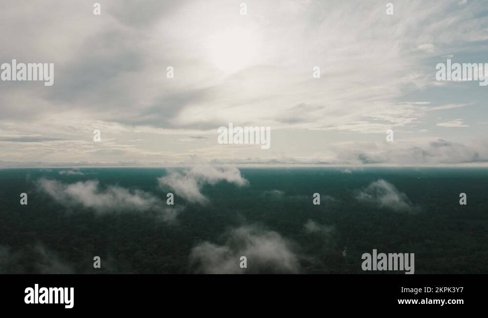 Rainforest canopies Stock Videos & Footage - HD and 4K Video Clips - Alamy