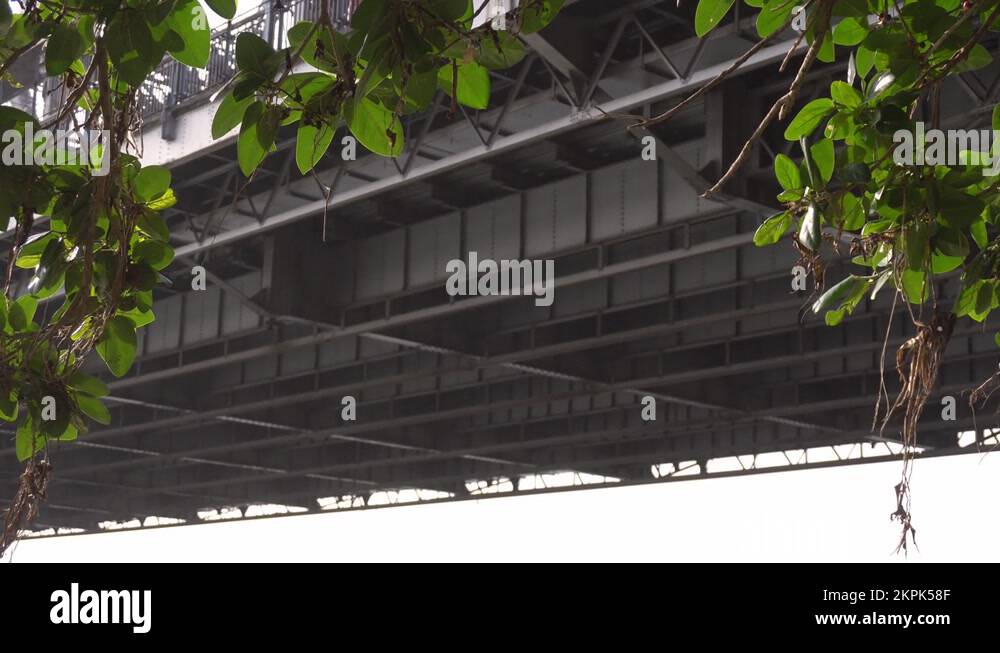 Howrah Bridge is a continental bridge built in 1943. One and a half ...