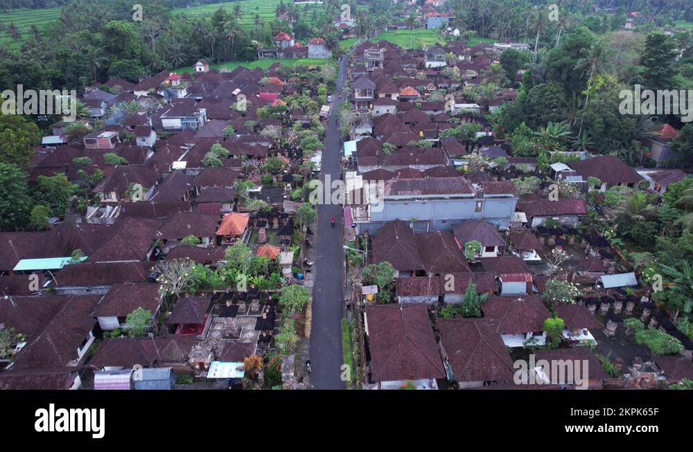 Common Balinese village, many house compounds along main street, aerial ...