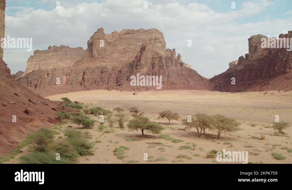 Low flight across desert, rocks, tress. AlUla, Saudi Arabia. Aerial 4K ...