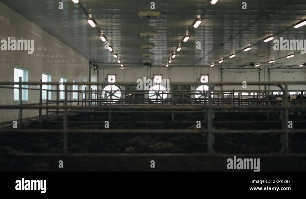 Livestock manure Stock Videos & Footage - HD and 4K Video Clips - Alamy