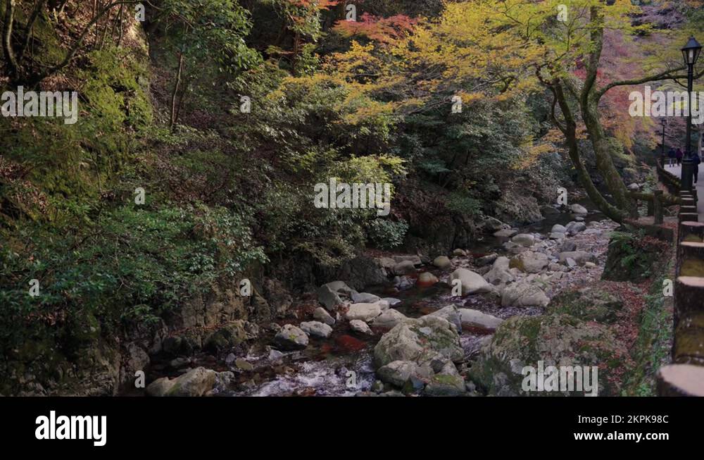 Minoh national park osaka Stock Videos & Footage - HD and 4K Video ...