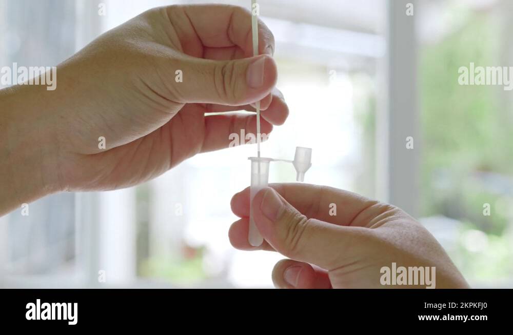 Close up hand using rapid antigen test kit (ATK) for self test at home ...