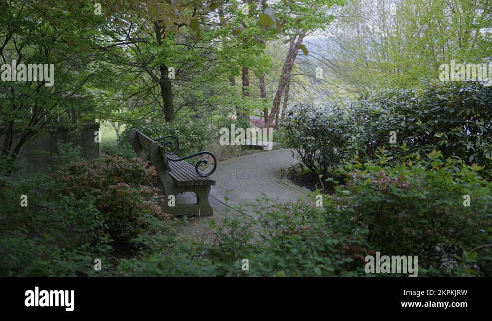 Bench seat by path pathway Stock Videos & Footage - HD and 4K Video ...