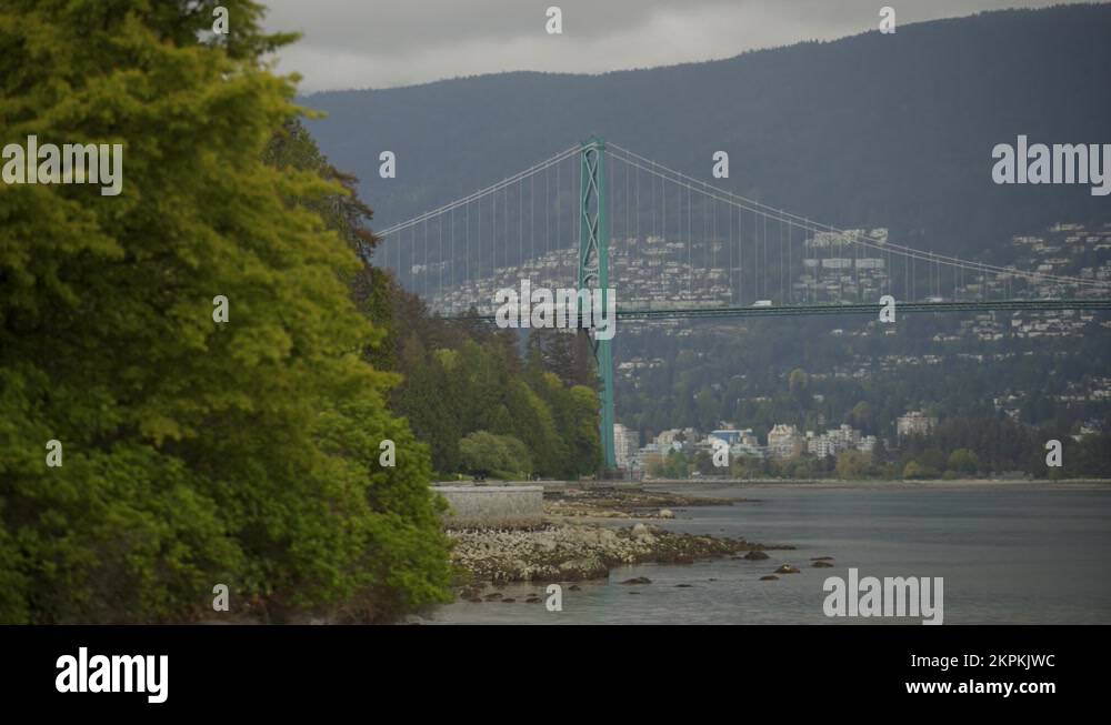 Lions Gate suspension bridge from Stanley Park surrounded by pine woods ...