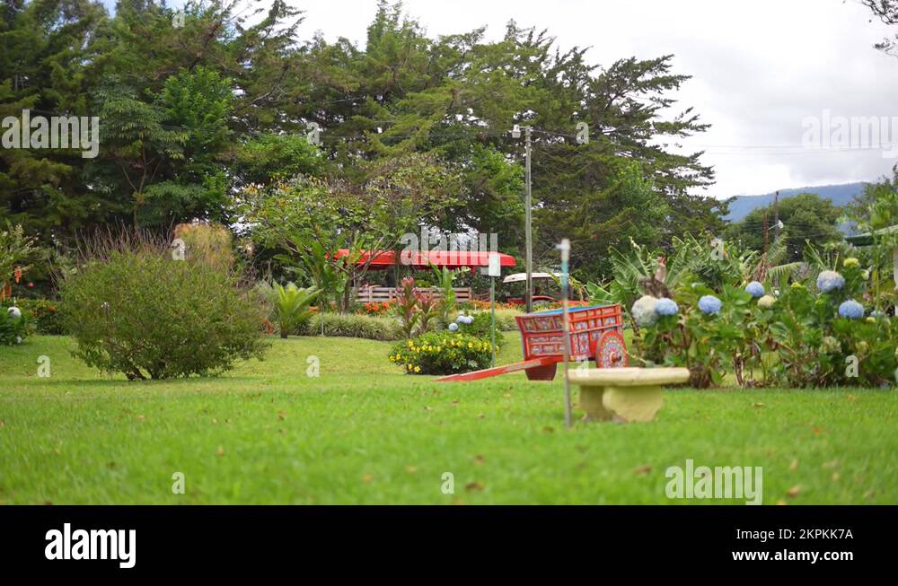 Ox Carts A National Symbol in Costa Rica, typical cart of costa rica ...