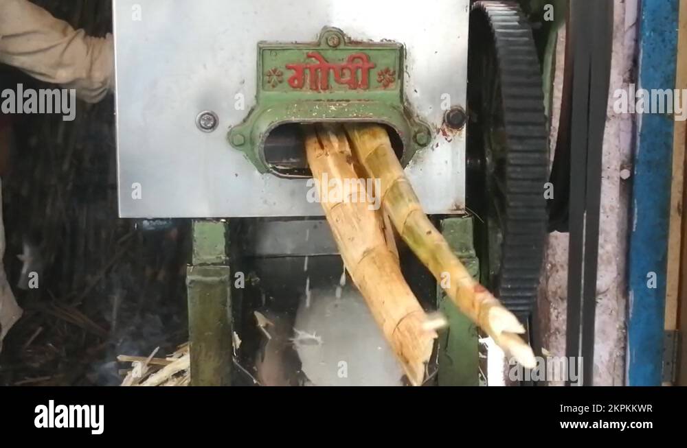 Extracting sugarcane Stock Videos & Footage - HD and 4K Video Clips - Alamy