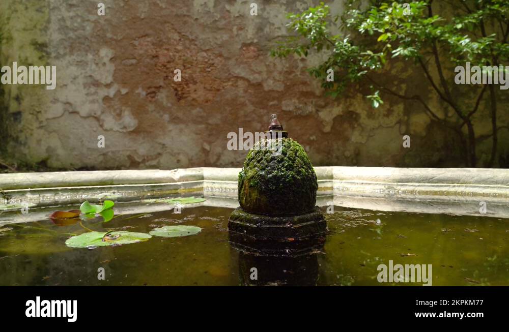 Moss garden fountain Stock Videos & Footage - HD and 4K Video Clips - Alamy
