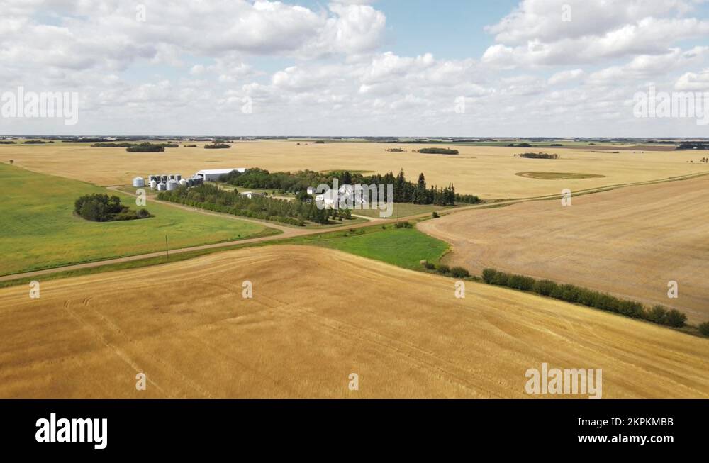 Crops alberta Stock Videos & Footage - HD and 4K Video Clips - Alamy