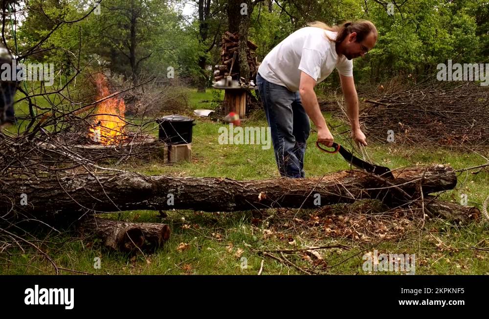 Sharp wood stick Stock Videos & Footage - HD and 4K Video Clips - Alamy
