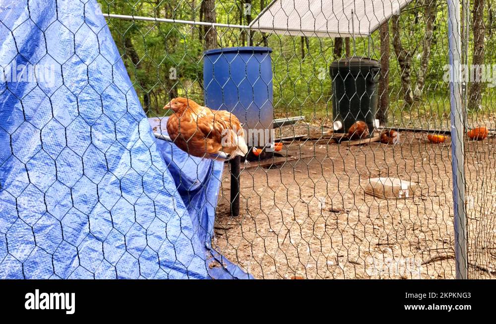 Enclosed pipe Stock Videos & Footage - HD and 4K Video Clips - Alamy