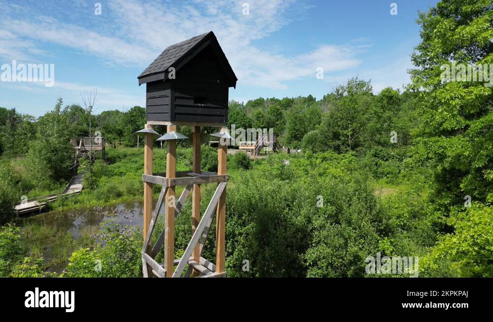 Conservation house Stock Videos & Footage - HD and 4K Video Clips - Alamy