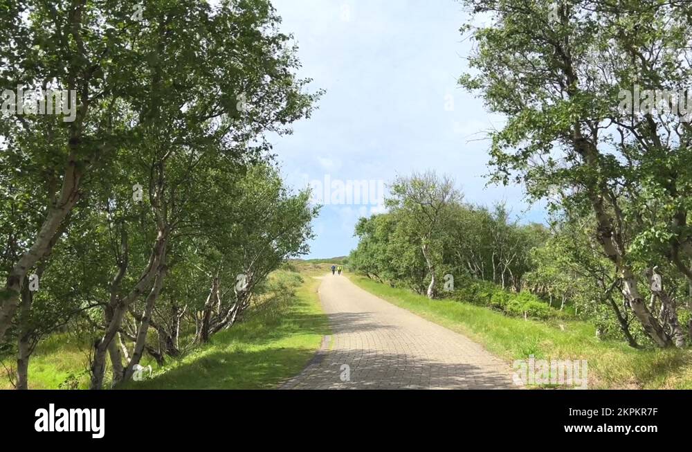 Cycling nature reserve Stock Videos & Footage - HD and 4K Video Clips ...