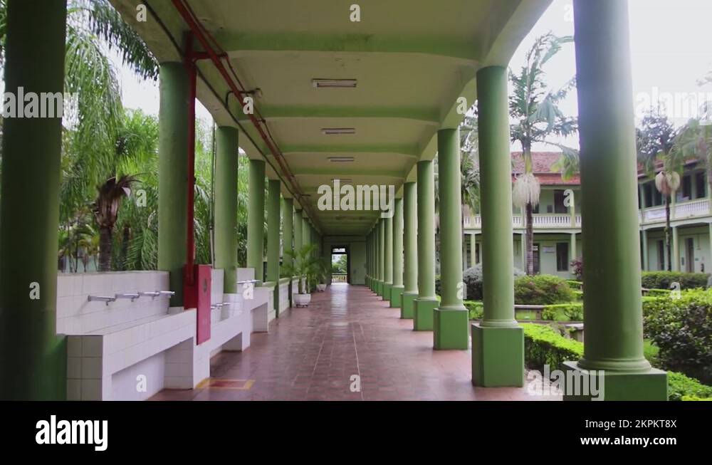 Green columns Stock Videos & Footage - HD and 4K Video Clips - Alamy