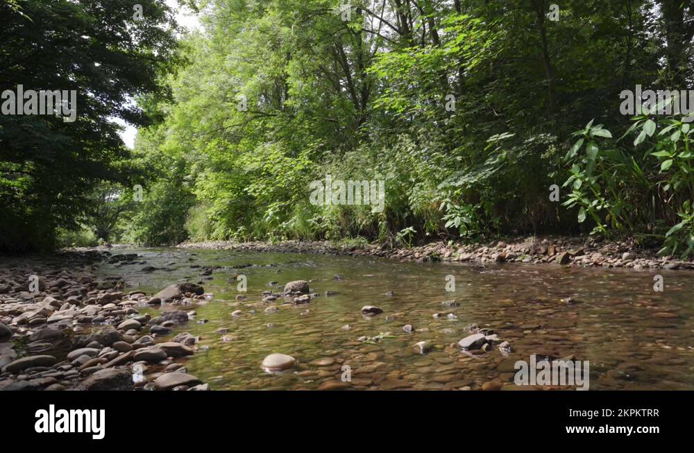 River rea Stock Videos & Footage - HD and 4K Video Clips - Alamy