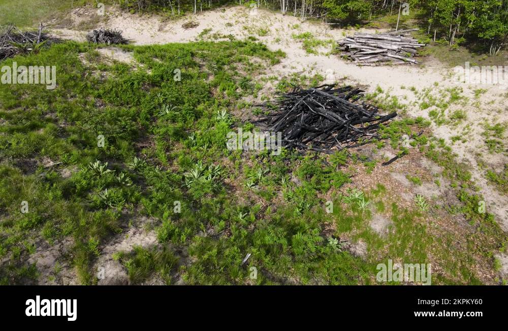 Burn pile Stock Videos & Footage - HD and 4K Video Clips - Alamy