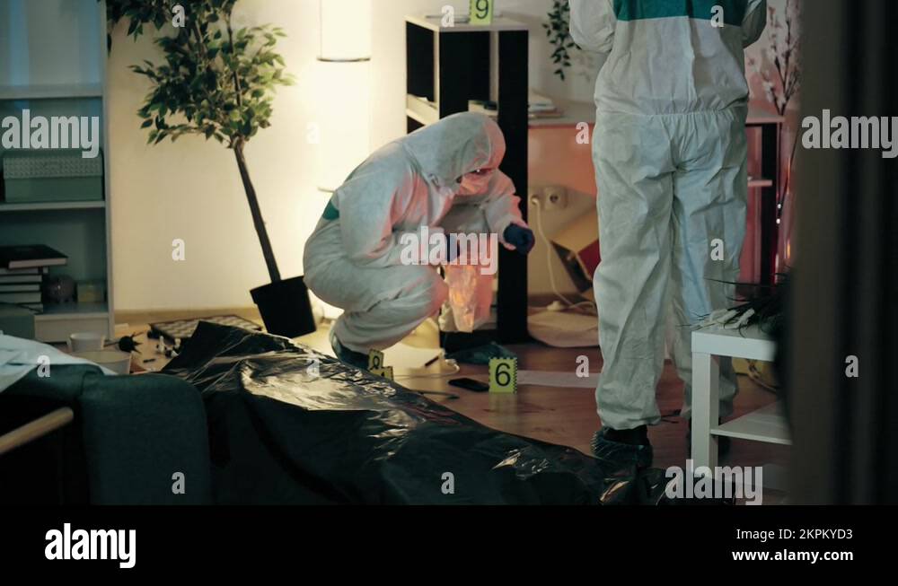 Crime scene forensics murder Stock Videos & Footage - HD and 4K Video ...