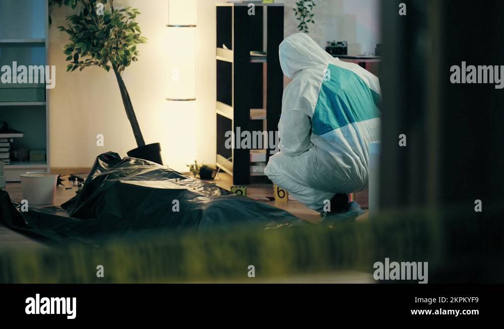 Corpse body bag Stock Videos & Footage - HD and 4K Video Clips - Alamy