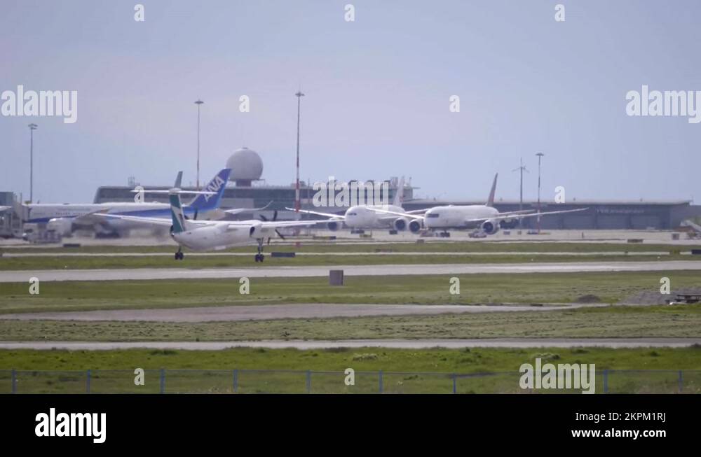 Straight wing Stock Videos & Footage - HD and 4K Video Clips - Alamy