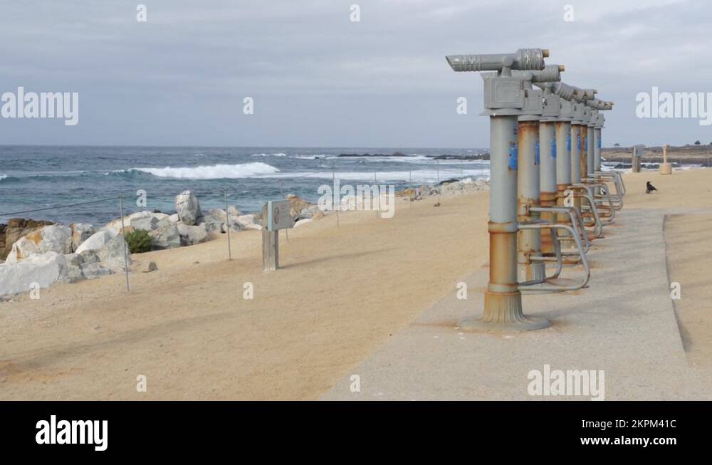 Scope viewer Stock Videos & Footage - HD and 4K Video Clips - Alamy