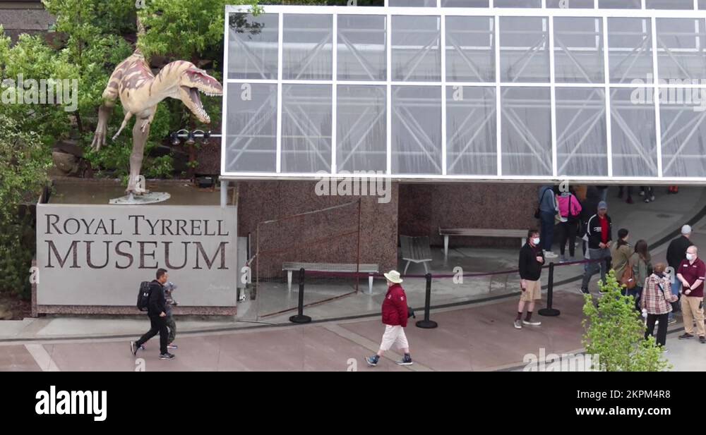 Royal tyrrell museum Stock Videos & Footage - HD and 4K Video Clips - Alamy
