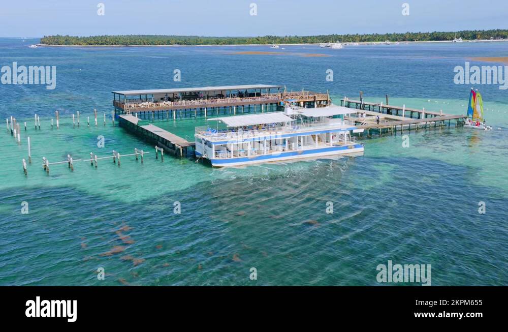 Dolphin structure Stock Videos & Footage - HD and 4K Video Clips - Alamy