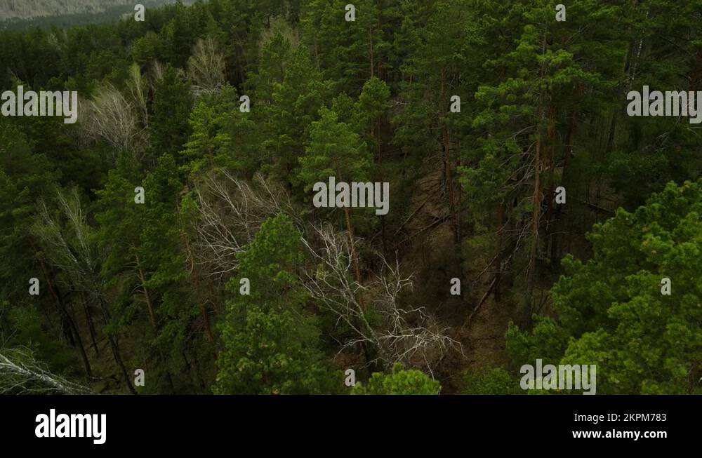 Upper angle Stock Videos & Footage - HD and 4K Video Clips - Alamy