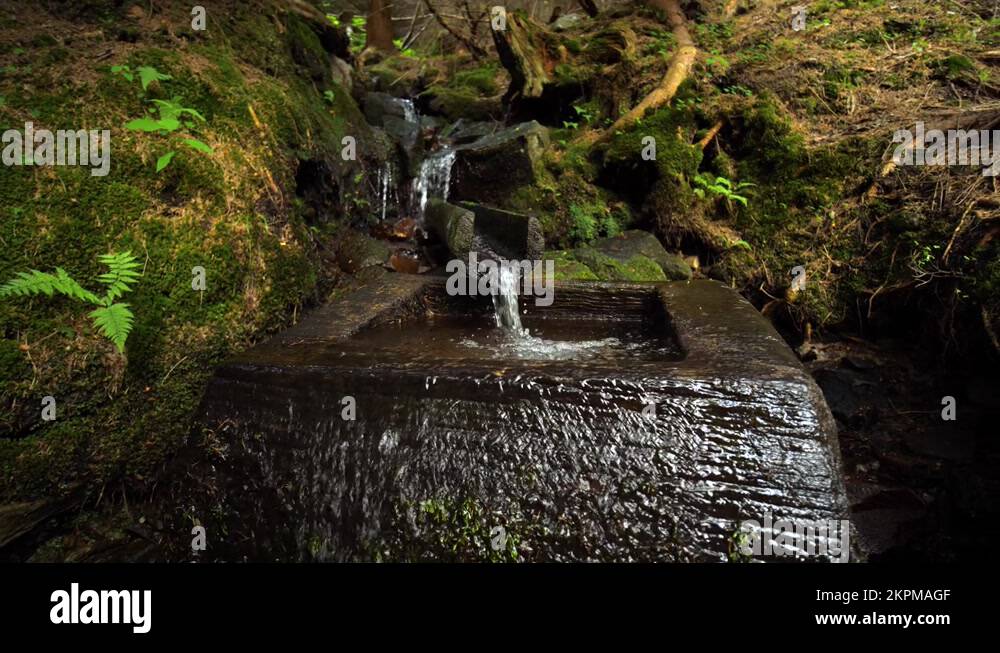 Mountain spring fountain in a lush forest with water trickling through ...