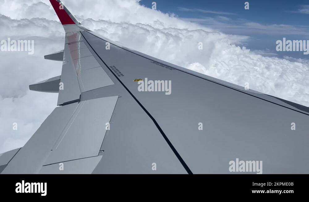 Left side wing Stock Videos & Footage - HD and 4K Video Clips - Alamy