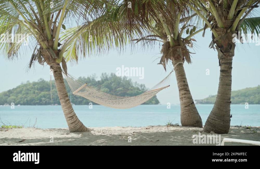 Hammock hanging between two coconut palm trees with tropical islands and beaches Stock Video ...