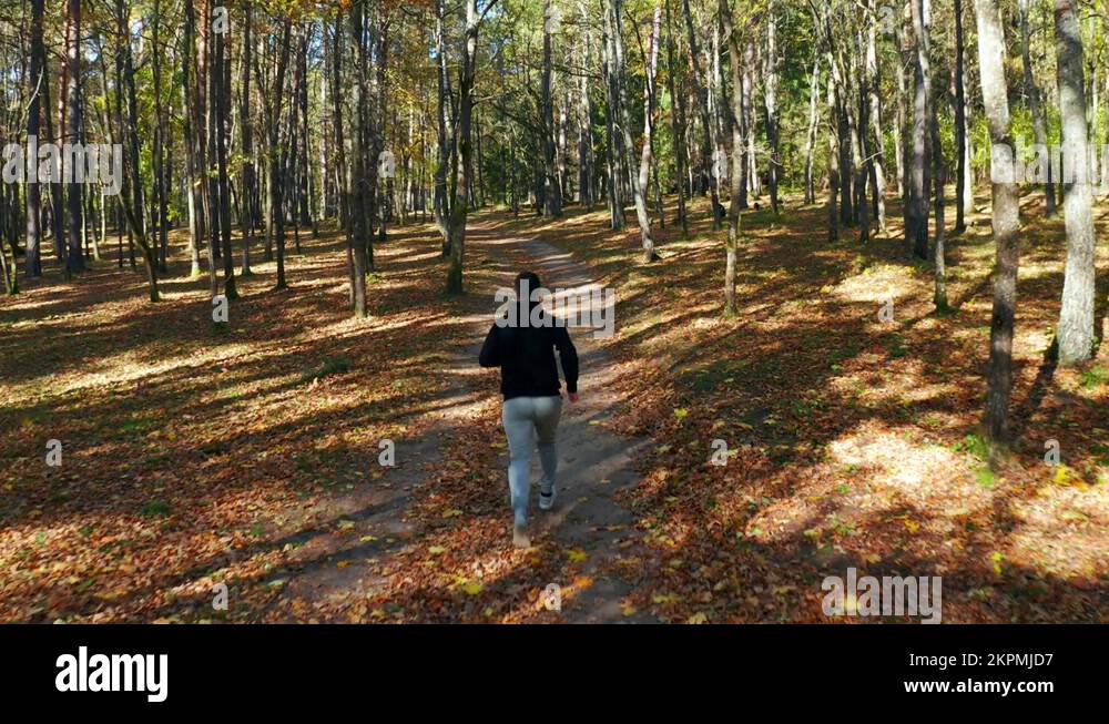 Active man running in forest Stock Videos & Footage - HD and 4K Video ...