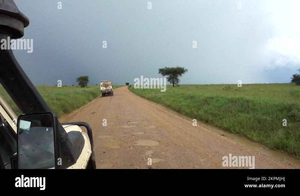 Serengeti safari road tanzania Stock Videos & Footage - HD and 4K Video ...